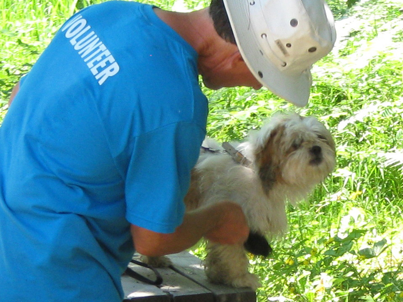 Volunteer - Ontario SPCA and Humane Society