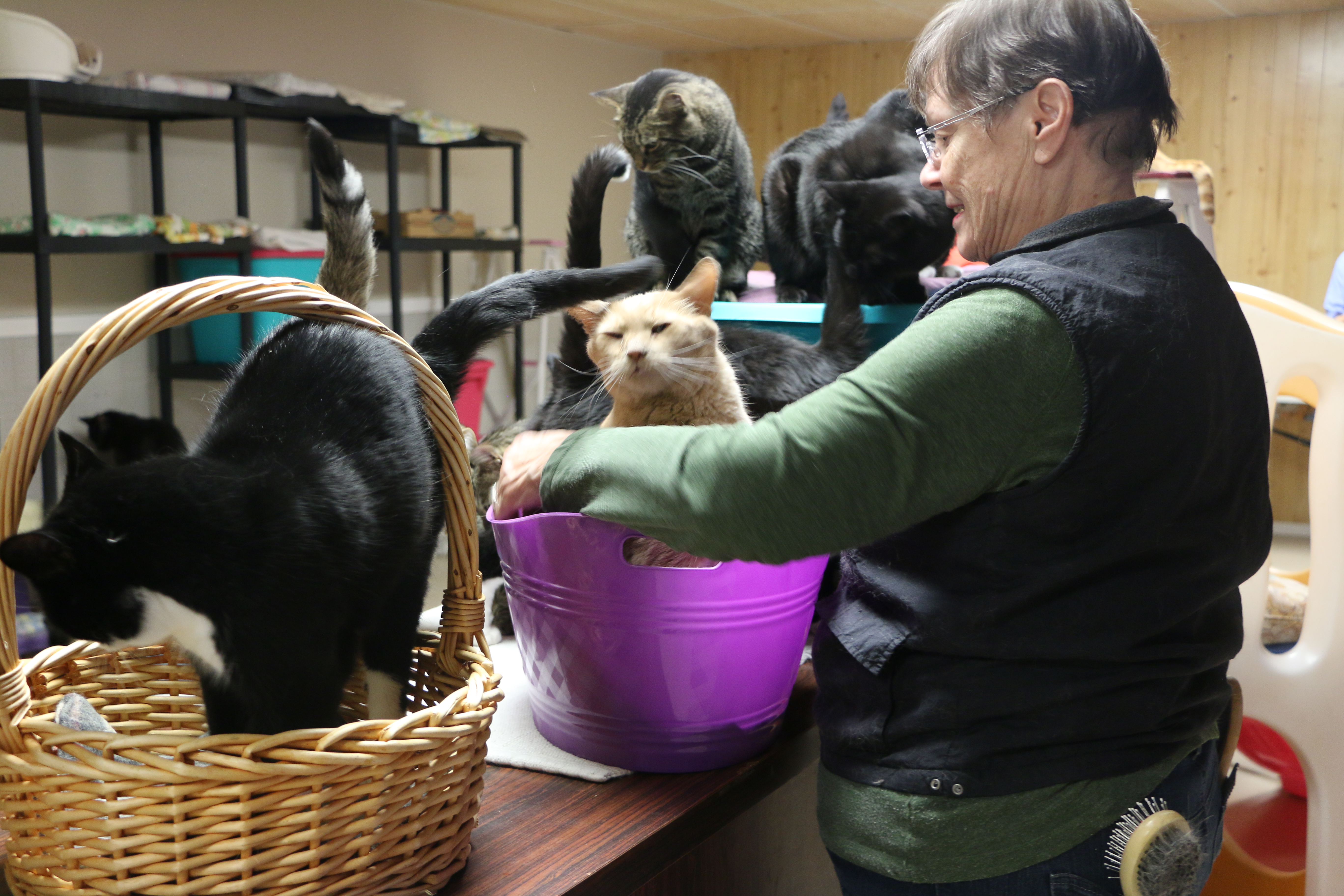 Partners in the North: Second Chance Pet Network, Dryden, Ont ... Partners in the North: Second Chance Pet Network, Dryden, Ont ...