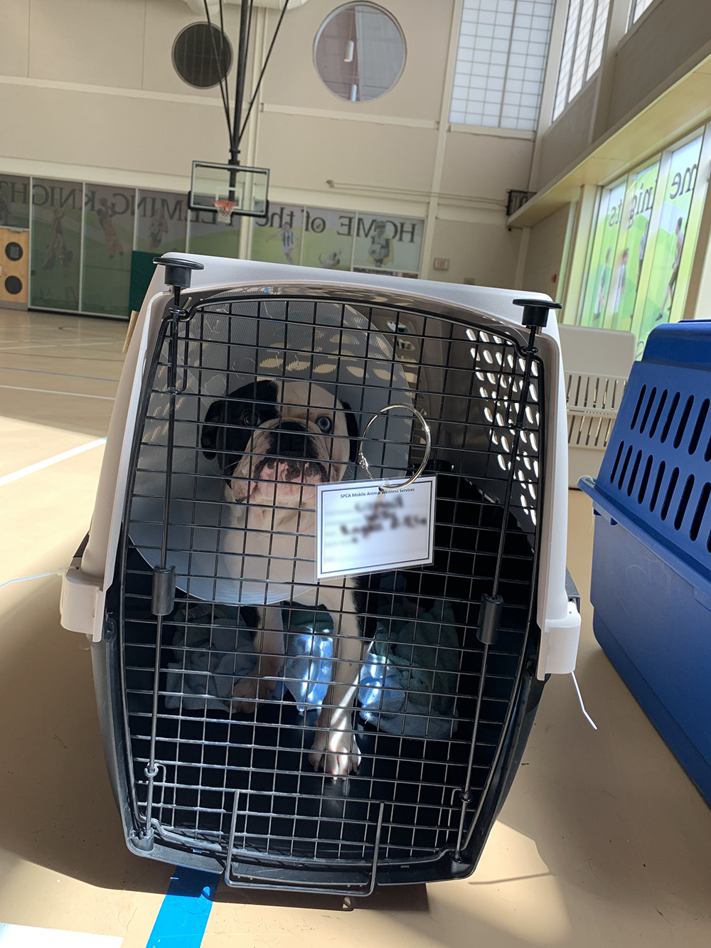 The mobile unit is on a roll - Ontario SPCA and Humane Society