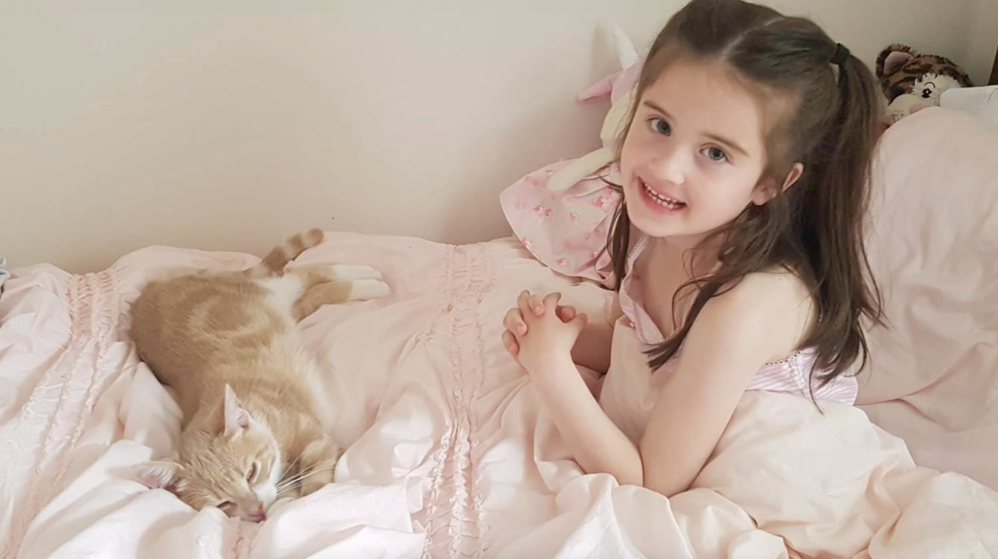 For one little girl, Remi was the robot cat she’d always wanted, come ...