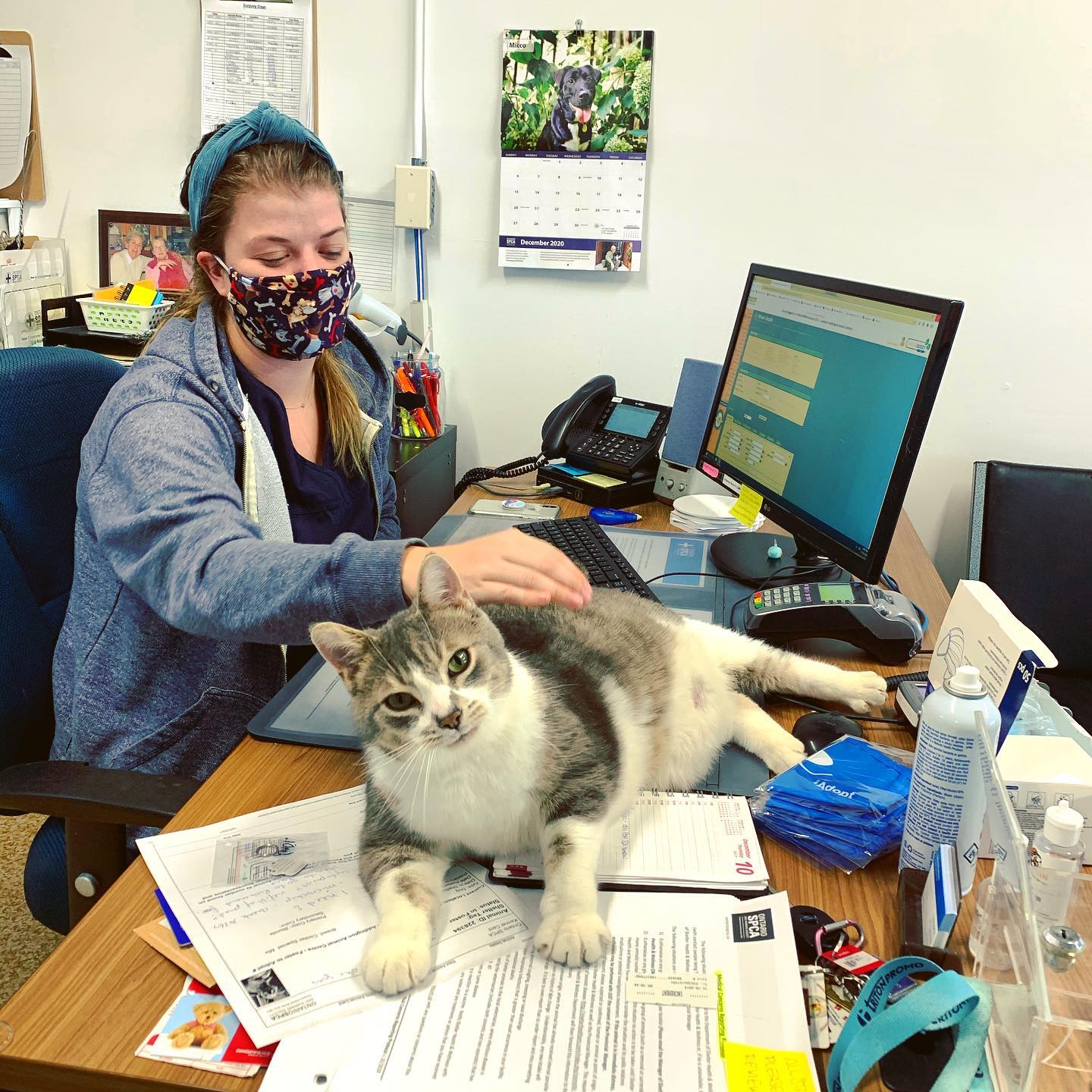 25 photos that sum up working from home with animals - Ontario SPCA and ...