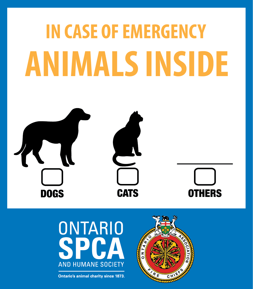 Emergency Preparedness - Ontario SPCA and Humane Society
