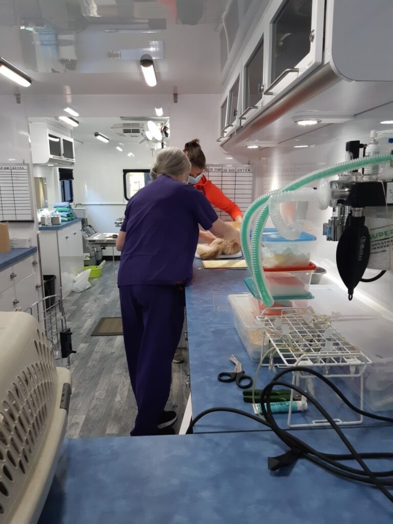 Ontario SPCA and Humane Society mobile spay/neuter unit rolls into ...