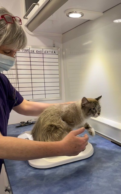 Ontario SPCA and Humane Society mobile spay/neuter unit rolls into ...