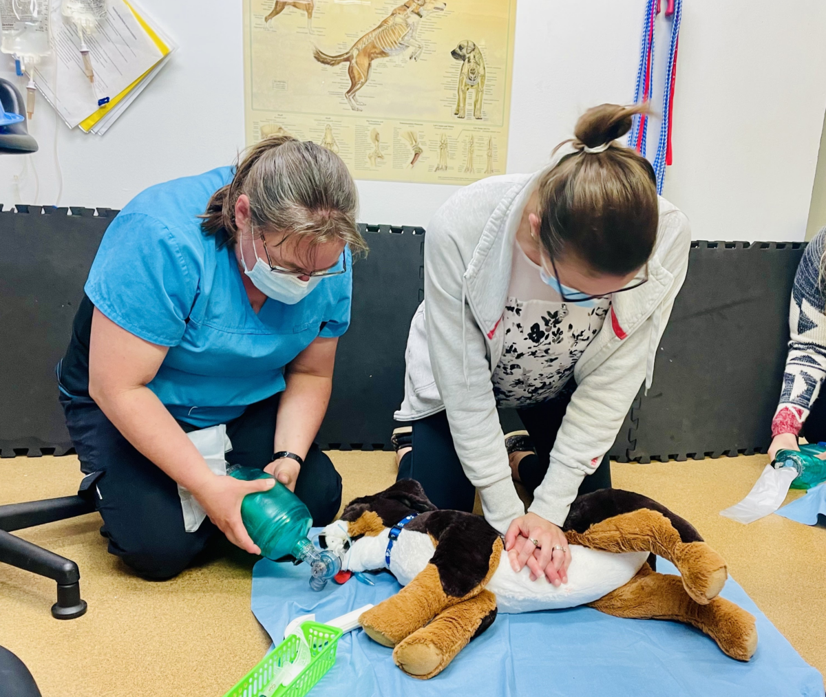 Ontario SPCA spay/neuter teams brush up on CPR emergency training - Ontario SPCA and Humane Society