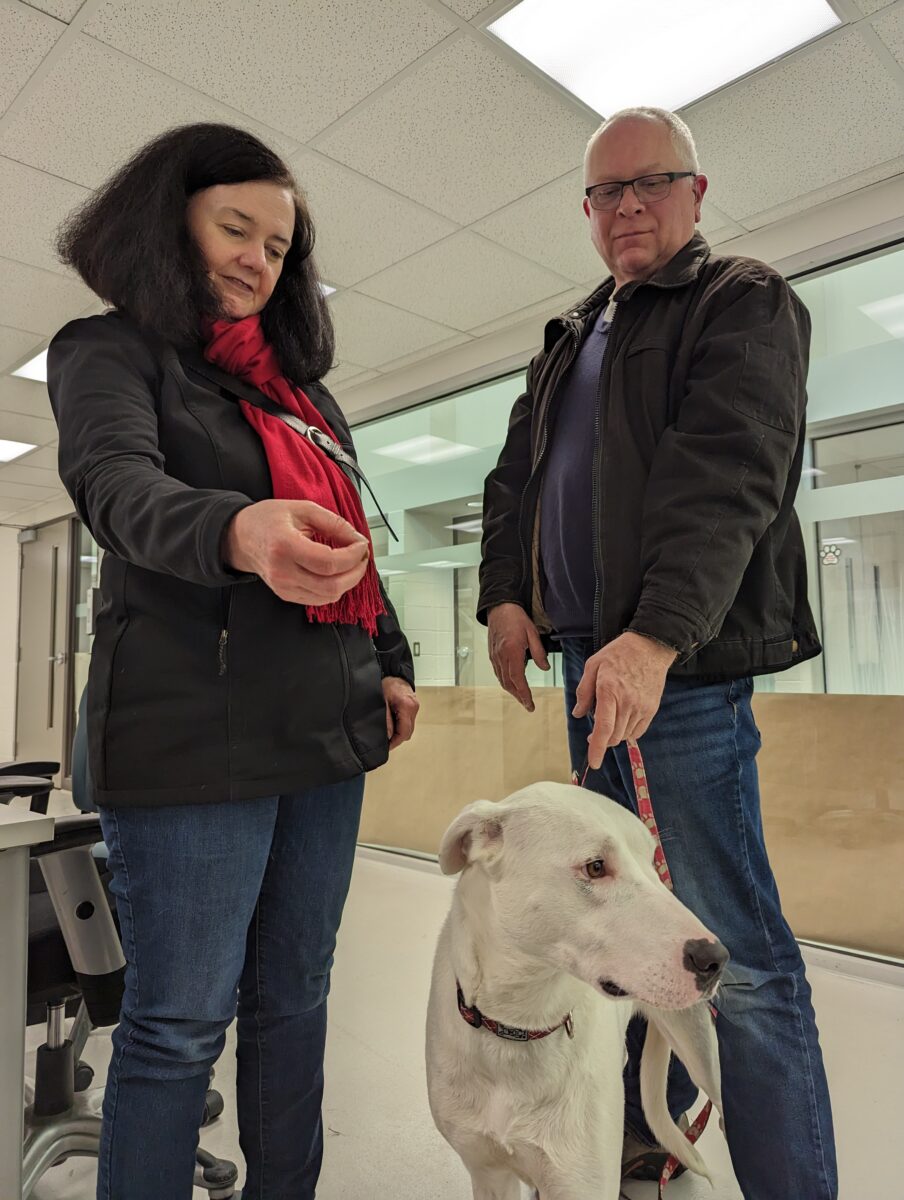Provincial Dog Rehabilitation Centre gives deaf dog a second chance ...