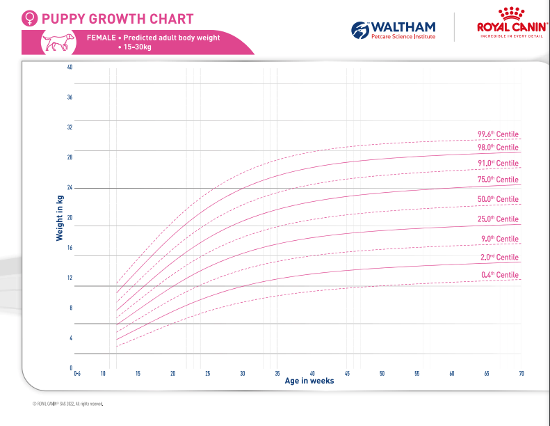 From tiny paws to big leaps: Navigating growth and nutrition with love ...