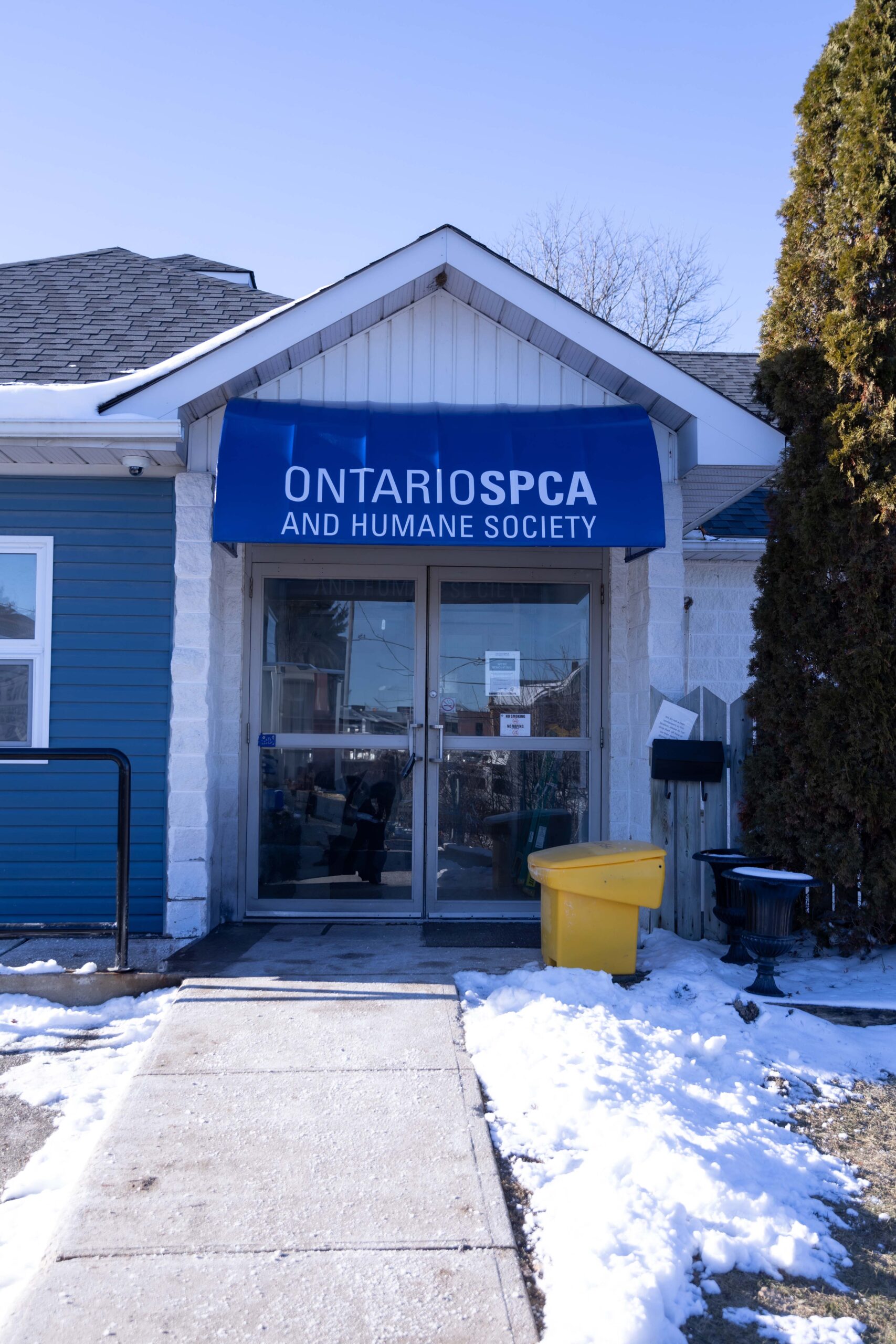 Thrilling meows! Renovations are full on the Ontario SPCA Orillia ...