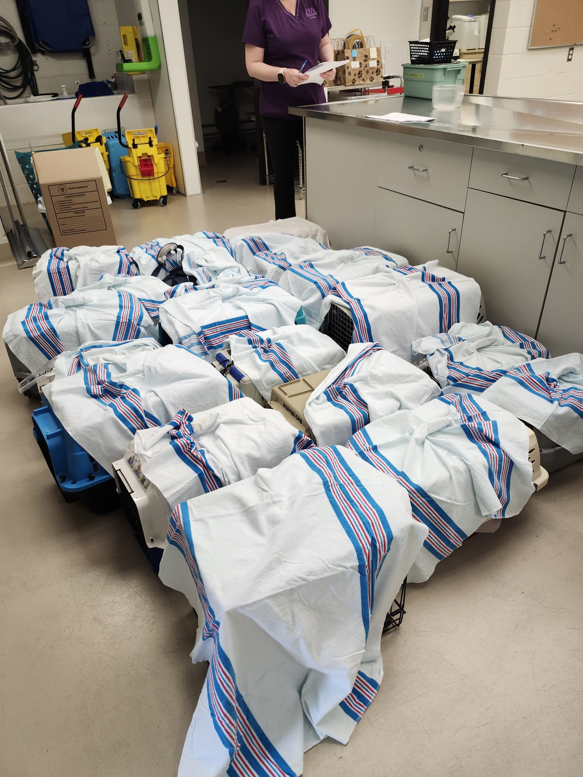 Have you heard about the Ontario SPCA’s Neuter Scooter Pilot Program ...