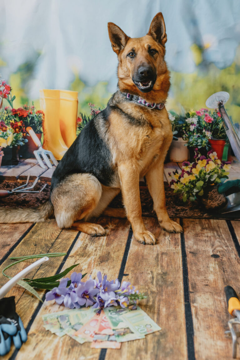 Spring into action with the Ontario SPCA’s Draws for Paws 50/50 Lottery ...