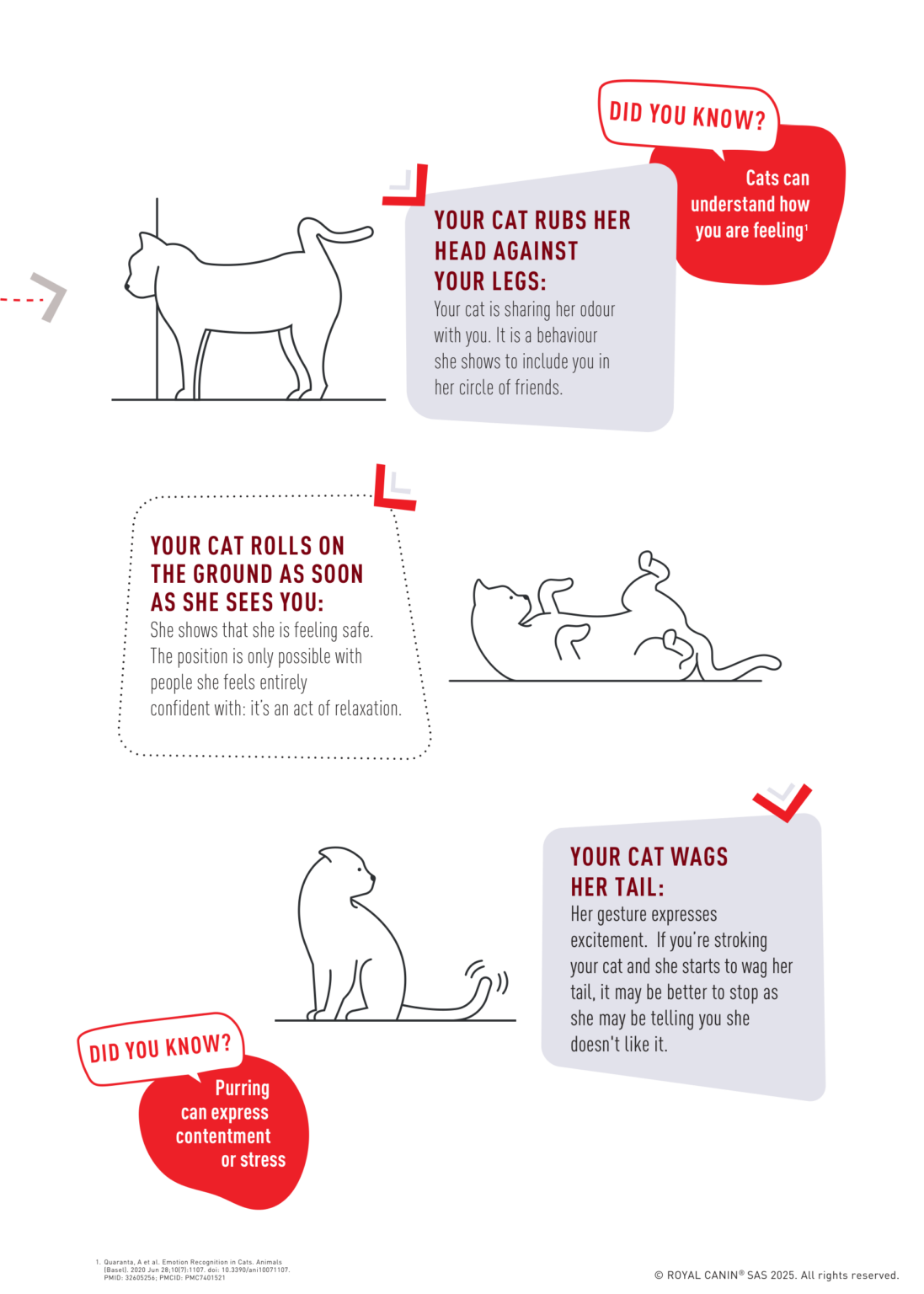 Learn how to read your cat’s body language - Ontario SPCA and Humane ...