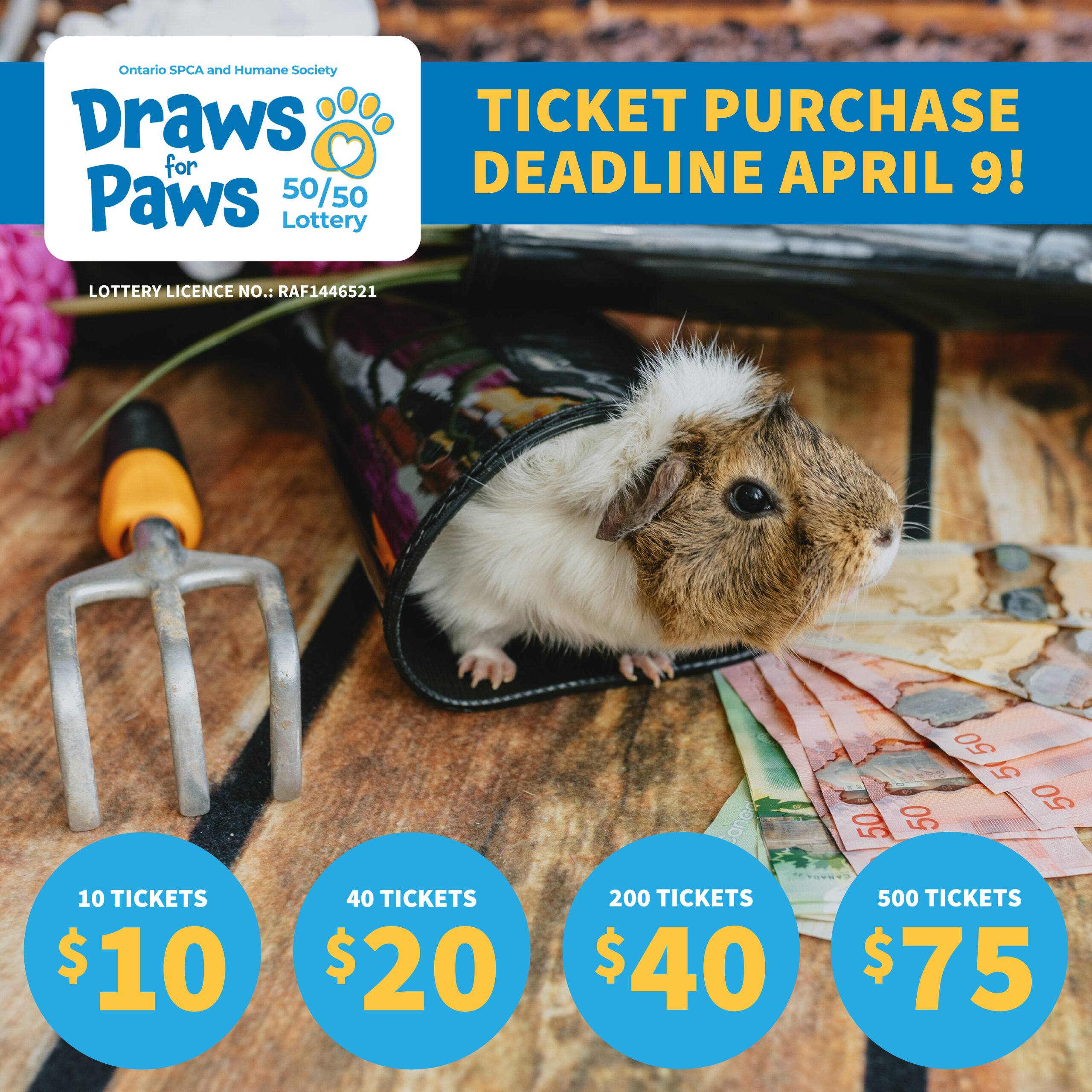 Win big for animals in need with the Ontario SPCA and Humane Society’s ...
