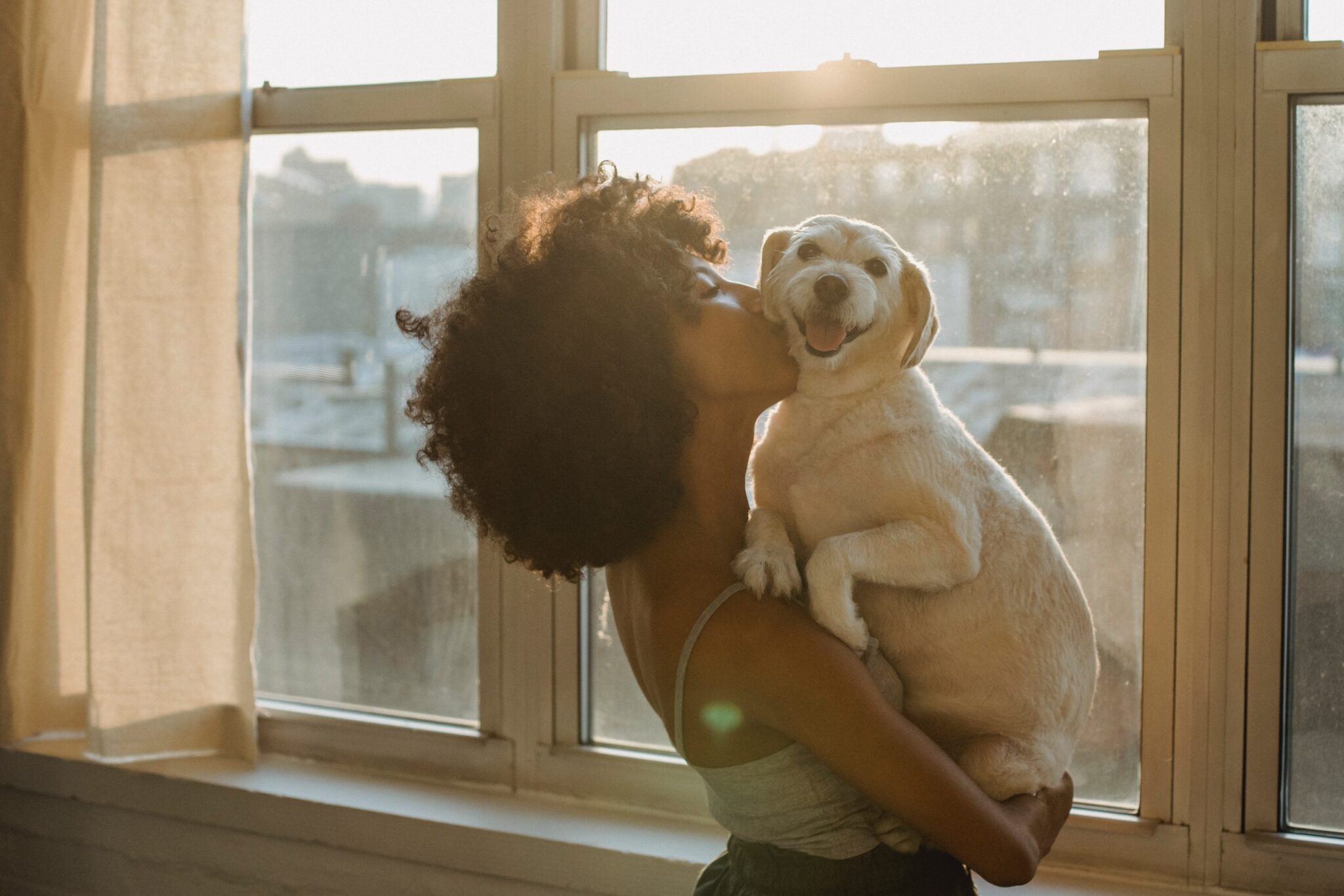 My itchy dog: When is it too much? - Ontario SPCA
