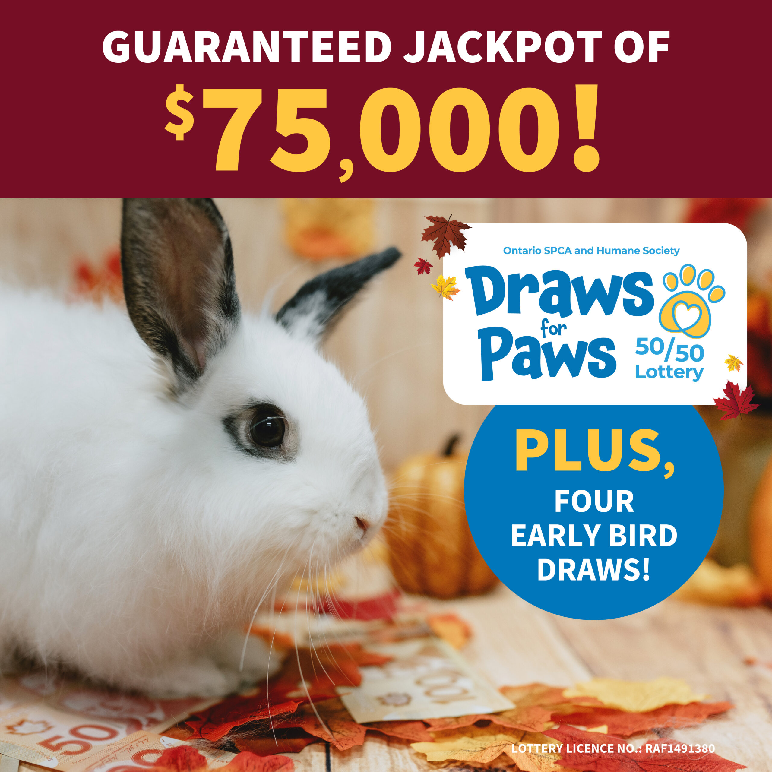 Win big for animals in need - Ontario SPCA
