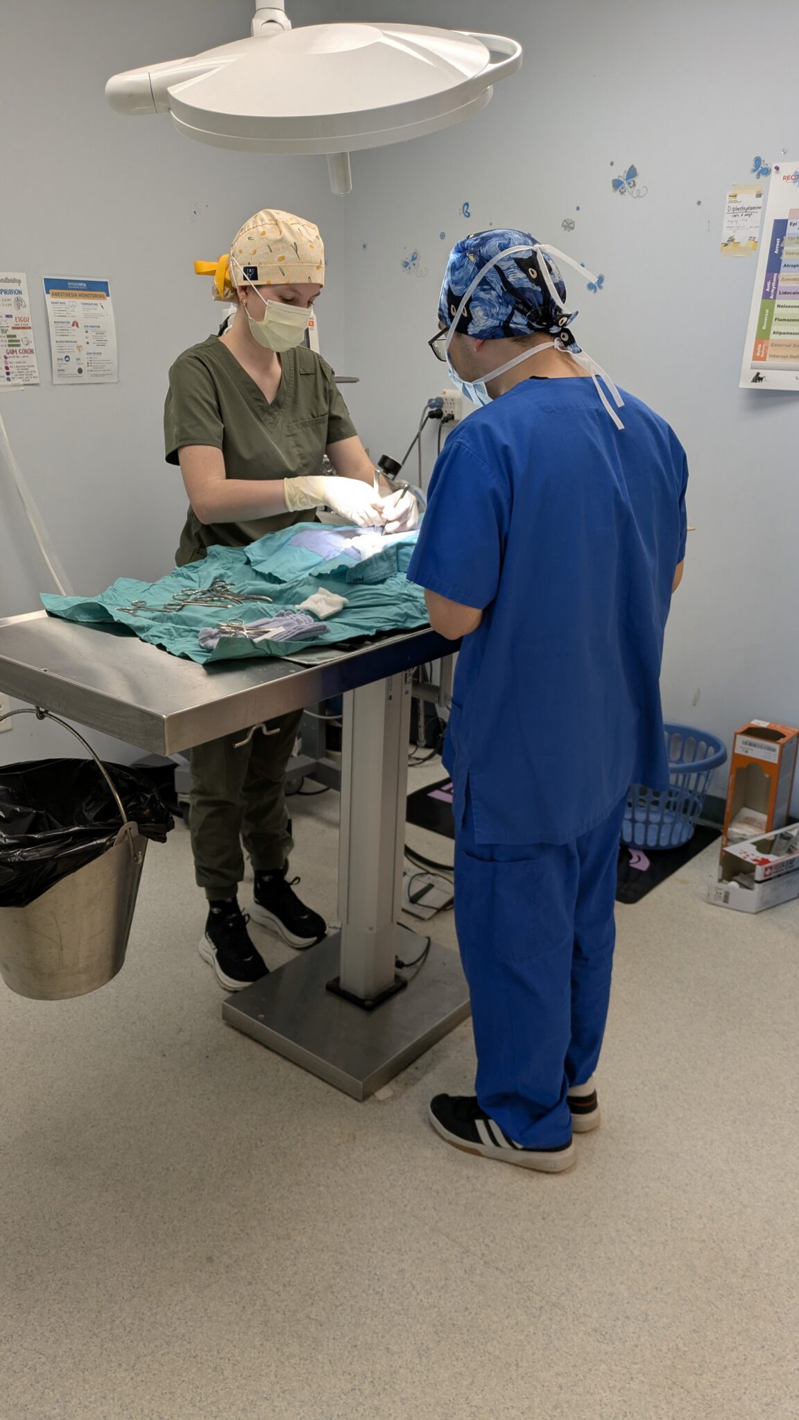 Building future animal care professionals through hands-on learning and ...