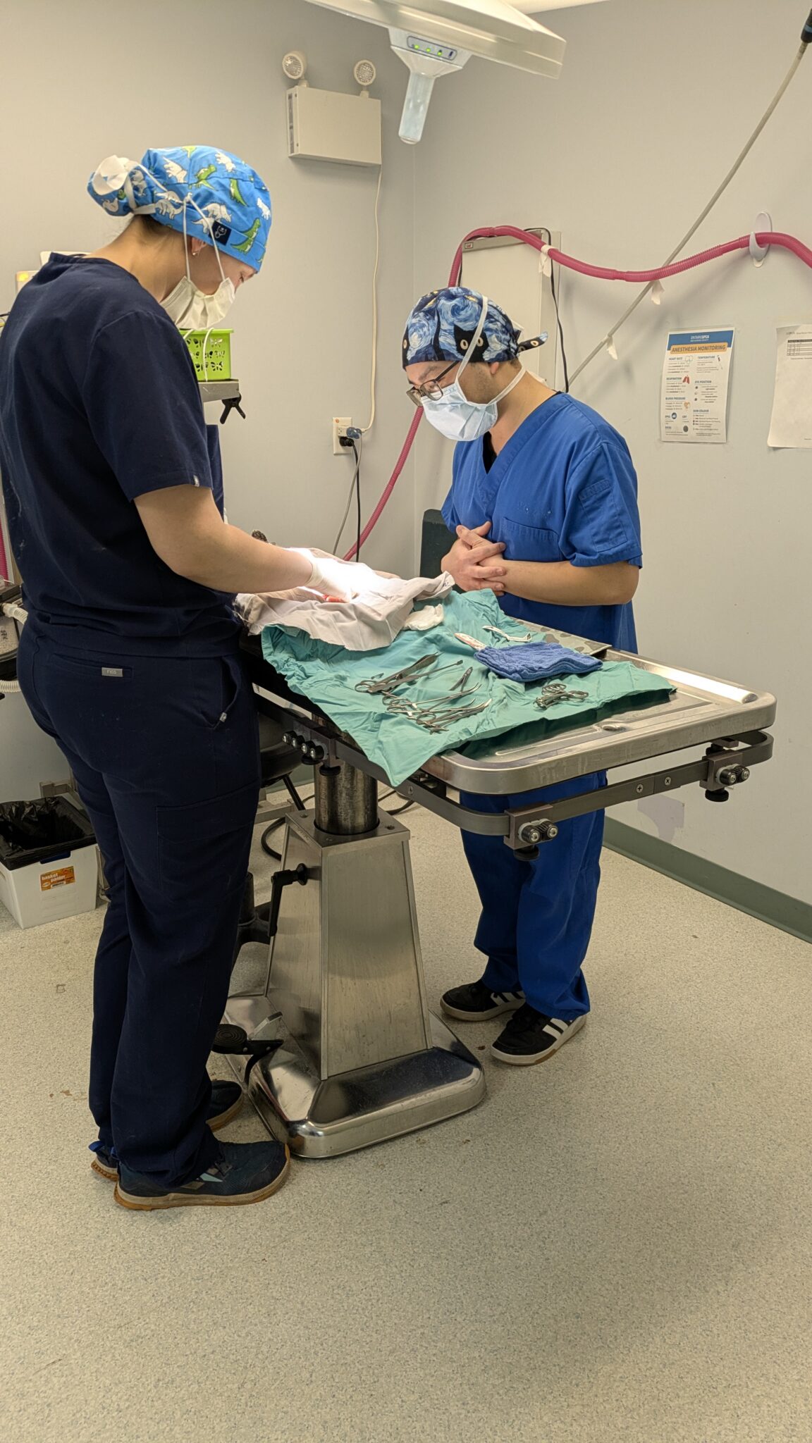 Building future animal care professionals through hands-on learning and ...
