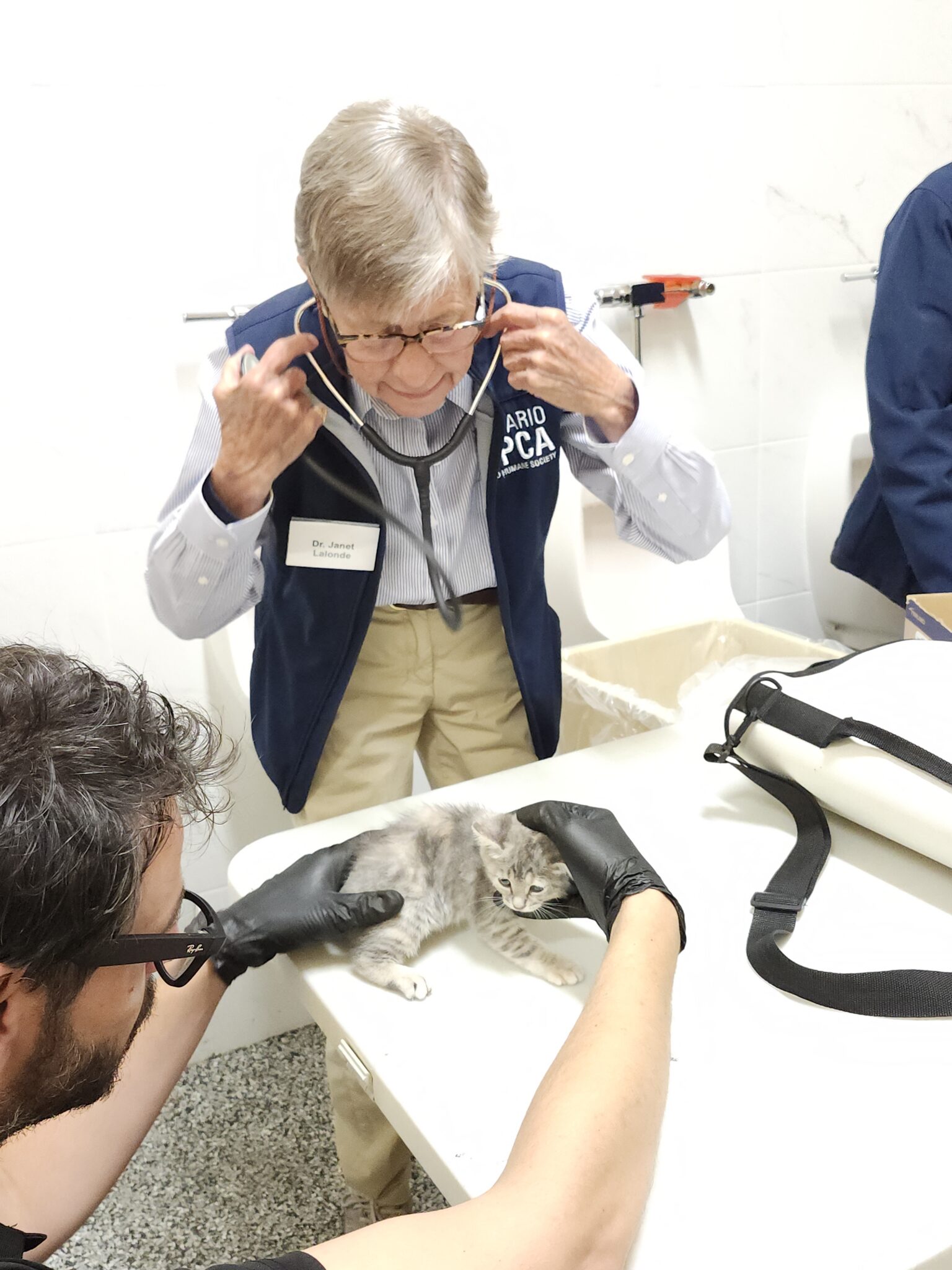 The Ontario SPCA hosts vaccination clinic for cats to improve access to ...