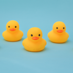 Lucky Duck Adoption Drive - Cornwall - Ontario SPCA